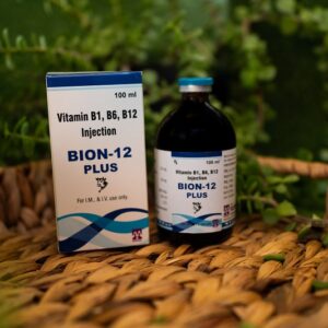 Vitamin B1,B6,B12 Injection (Bion-12 Plus) – Morvel Veterinary